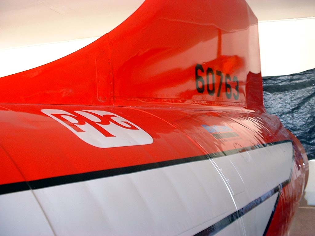 NWS3: North American Eagle Field Trip